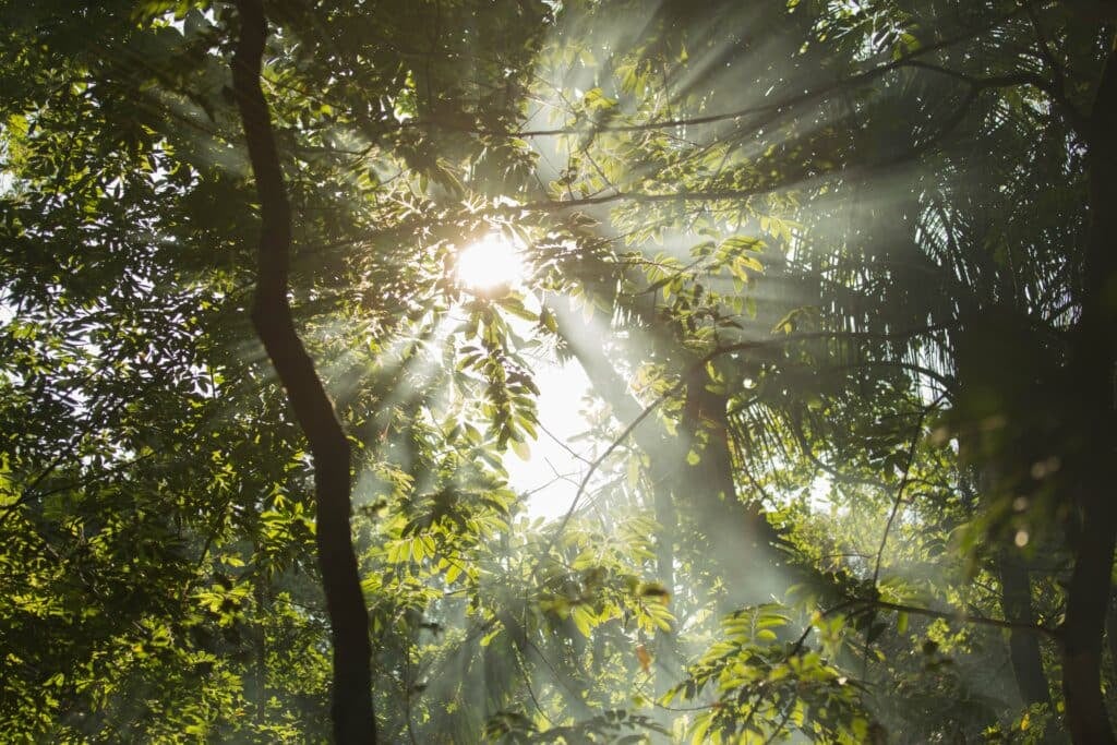 Visit PachaMama - PachaMama